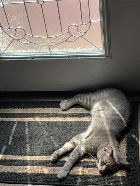 My Bebby Loves The Sun 🌞 Scrolller