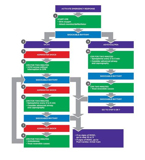ACLS CARDIAC ARREST MEDizzy