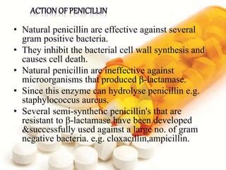 Industrial Production Of Antibiotics Pptx