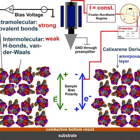 Color Online Simplified Schematic Of The STM Setup With Download Scientific Diagram