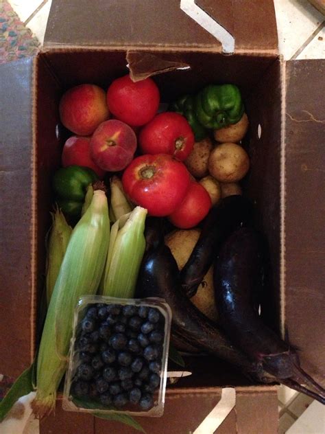 Abundance Of Resources To Find Non Gmo Food