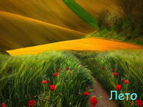 Весна Времена года презентация онлайн