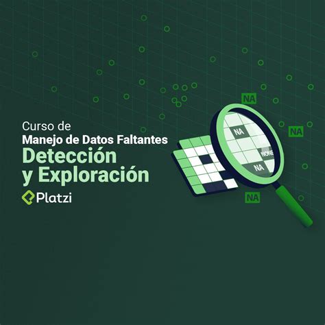 Course Missing Data Handling Detection And Exploration Jesús Vélez