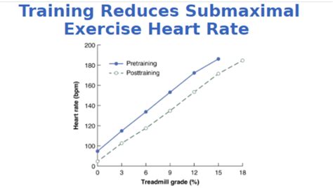 Chapter 4 Exercise Physiology Flashcards Quizlet