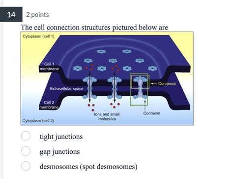 Solved The Cell Connection Structures Pictured Below Are