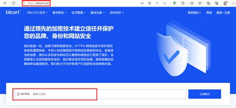 创建网站教程：服务器环境搭建（mysqljdknginx），前后端项目部署（技术栈：ssmvue），域名备案【全网最简单