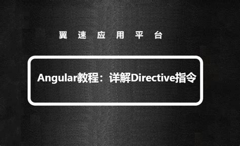 Angular教程详解Directive指令 翼速应用