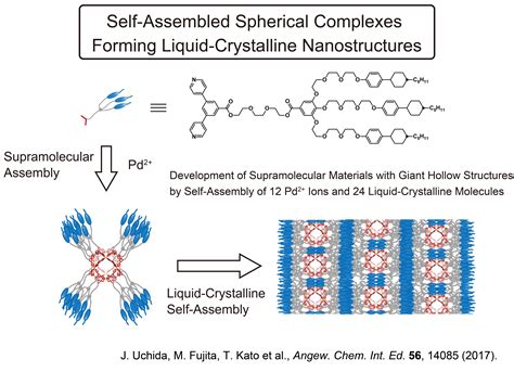 Crystalline Polymer Structure My Xxx Hot Girl