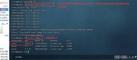 Docker安装mysql And Redisdocker安装mysql和redis Csdn博客