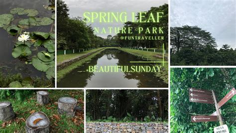 Exploring The Springleaf Nature Park On A Beautifulsunday Morning Peakd