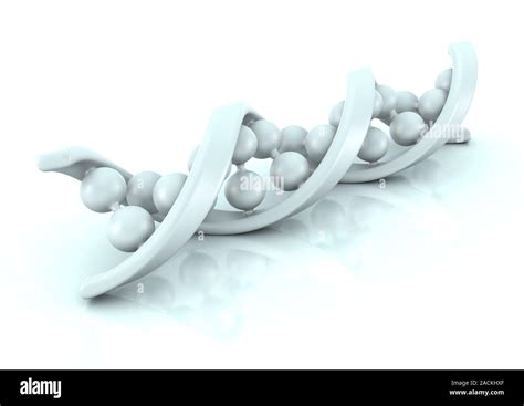 Dna Molecule Computer Artwork Showing A Double Stranded Dna Deoxyribonucleic Acid Molecule