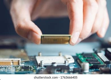 Man Hand Holding Computer Cpu On Stock Photo Shutterstock