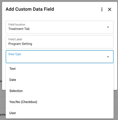 program data fields
