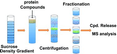 Ultracentrifugation Based Multi Target Affinity Selection Mass