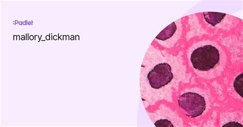 Mallory Dickman Profile Padlet