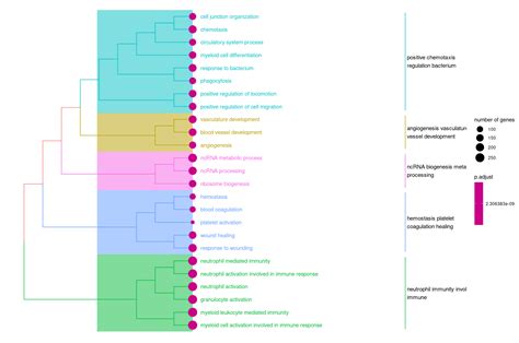 treeplot displaying wrong simplified labels · issue 170 · yulab smu