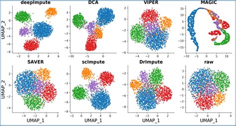 Deepimpute Scalable Deep Neural Network Method To Impute Single Cell