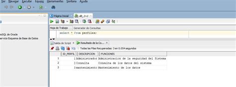 Java Datos De Oracle Sql No Se Sincronizan Con Netbeans