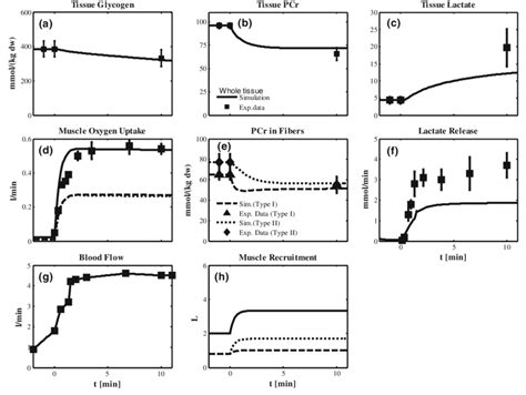 Simulated Dynamics And Experimental Data For Intracellular Species Download Scientific Diagram