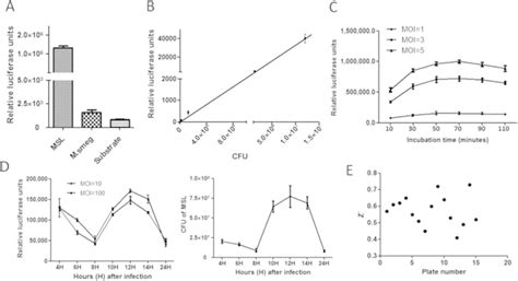 Construction And Optimization Of Cell Based High Throughput Screening Download Scientific