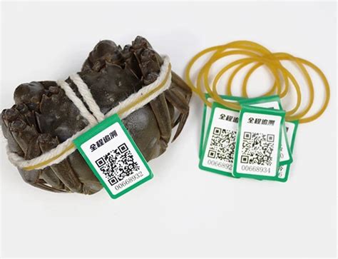 Custom Qr Code Labelstagsstickers Traceability Qr Code Sticker Maker