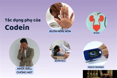 Thông Tin Thuốc Codein Thuốc Giảm đau Nhóm Opioid Thông Tin Thuốc Codein Thuốc Giảm đau Nhóm Opioid