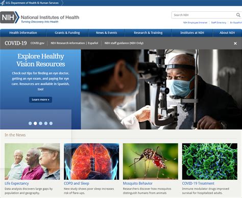 Wcag Levels Features And Comparison Ramotion Agency