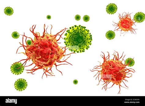 Interaction Between Virus And Dendritic Cell Computer Illustration Dendritic Cells Play A