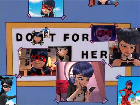 Adrien Since Evolution Be Like R Miraculousladybug