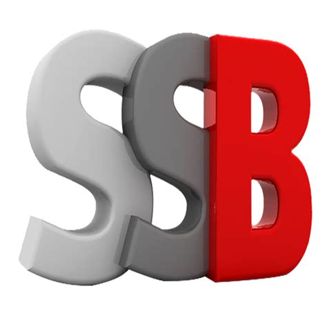 德国ssb蓄电池 （中国）【官网】