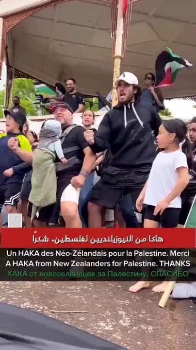 Hamid Aalla On Linkedin Everybody Is Becoming Palestinian In Every Bones