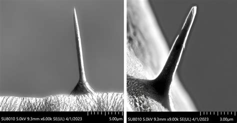 Nanosurf On Linkedin Noc 23 Nanosurf Organic Cantilever