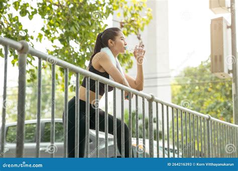 A Thirsty Bee Is Drinking From A Water Bowl Royalty Free Stock