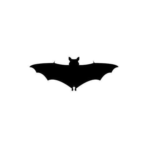 Echolocation Illustrations Royalty Free Vector Graphics And Clip Art