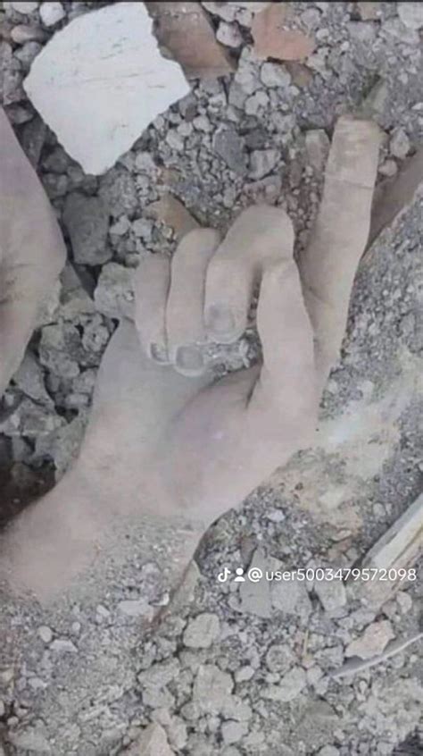 Mohammed Sorory On Linkedin Freepalestine