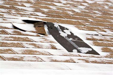 Damaged Roof Shingles Long Island Building Experts