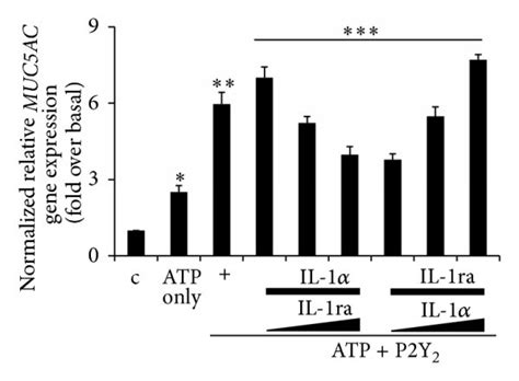 Il 1ra Inhibits Il 1α Induced Muc5ac Gene Expression Via Inhibiting