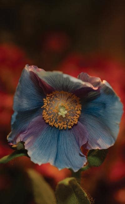 Wcu Events Wcu Of Pa