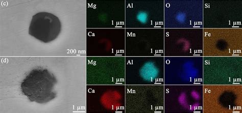 Ex Situ Examination Of Matrix And Inclusions Of Api X100 Before And After Exposure To Bitumen At