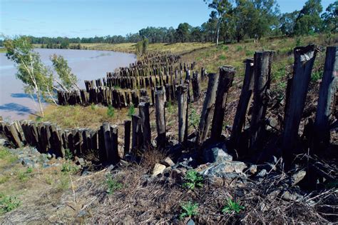 Feeling Sedimental Celebrating Our Impact Improving Water Quality On Feeling Sedimental Celebrating Our Impact Improving Water Quality On