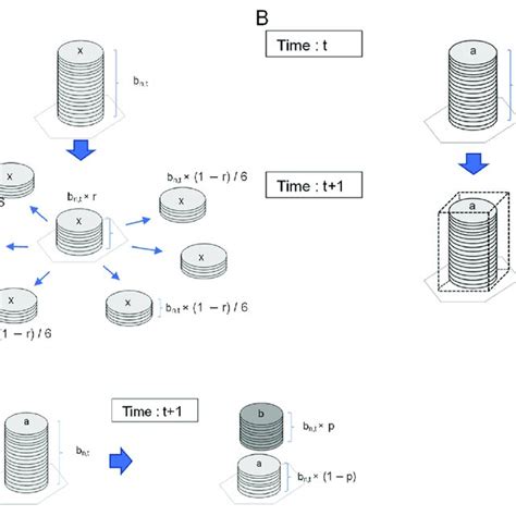 Schematic Of Molecule Diffusion Chemical Reactions And The Virtual Download Scientific