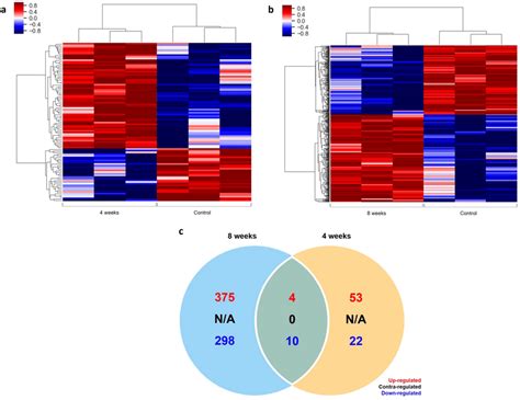 Analysis Of Phmg Regulated Gene Expression In Rat Lung Tissue Heatmaps