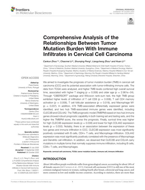 Pdf Comprehensive Analysis Of The Relationships Between Tumor