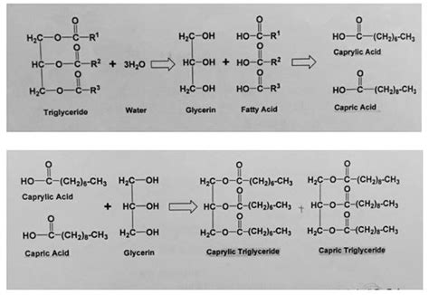 화장품에 활용되는 카프릴릭카프릭트라이글리세라이드구명칭카프릴릭카프릭트리글리세라이드 Caprylic Capric Triglyceride 의 특징