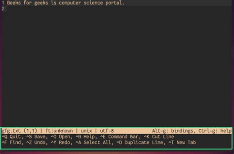 Micro Lightweight Terminal Based Text Editor GeeksforGeeks