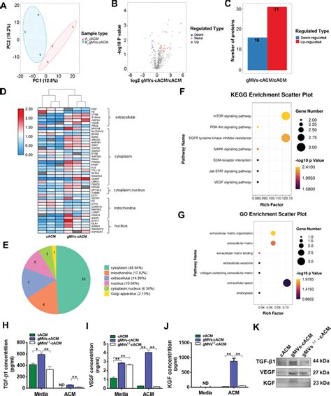 The Proteomics Dataset Analyzed For Biological Significance Of Cacm