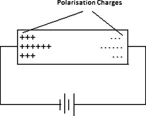 Pictorial Presentation Of Polarisation Process Download Scientific