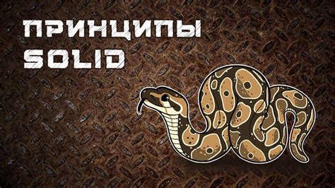 Принципы solid На примере python youtube
