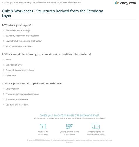 Quiz And Worksheet Structures Derived From The Ectoderm Layer