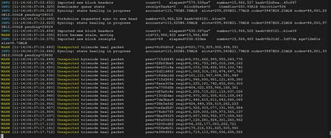 Nodes Enter An Endless State Healing Phase · Issue 26174 · Ethereumgo